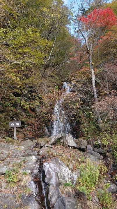 新着情報 | 日光・鬼怒川のホテルなら鬼怒川温泉 山楽【公式】
